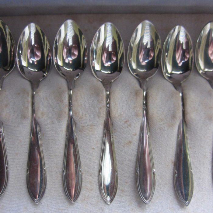 Wellner – cassette met 12 verzilverde lepeltjes – Kruithuis Antiek